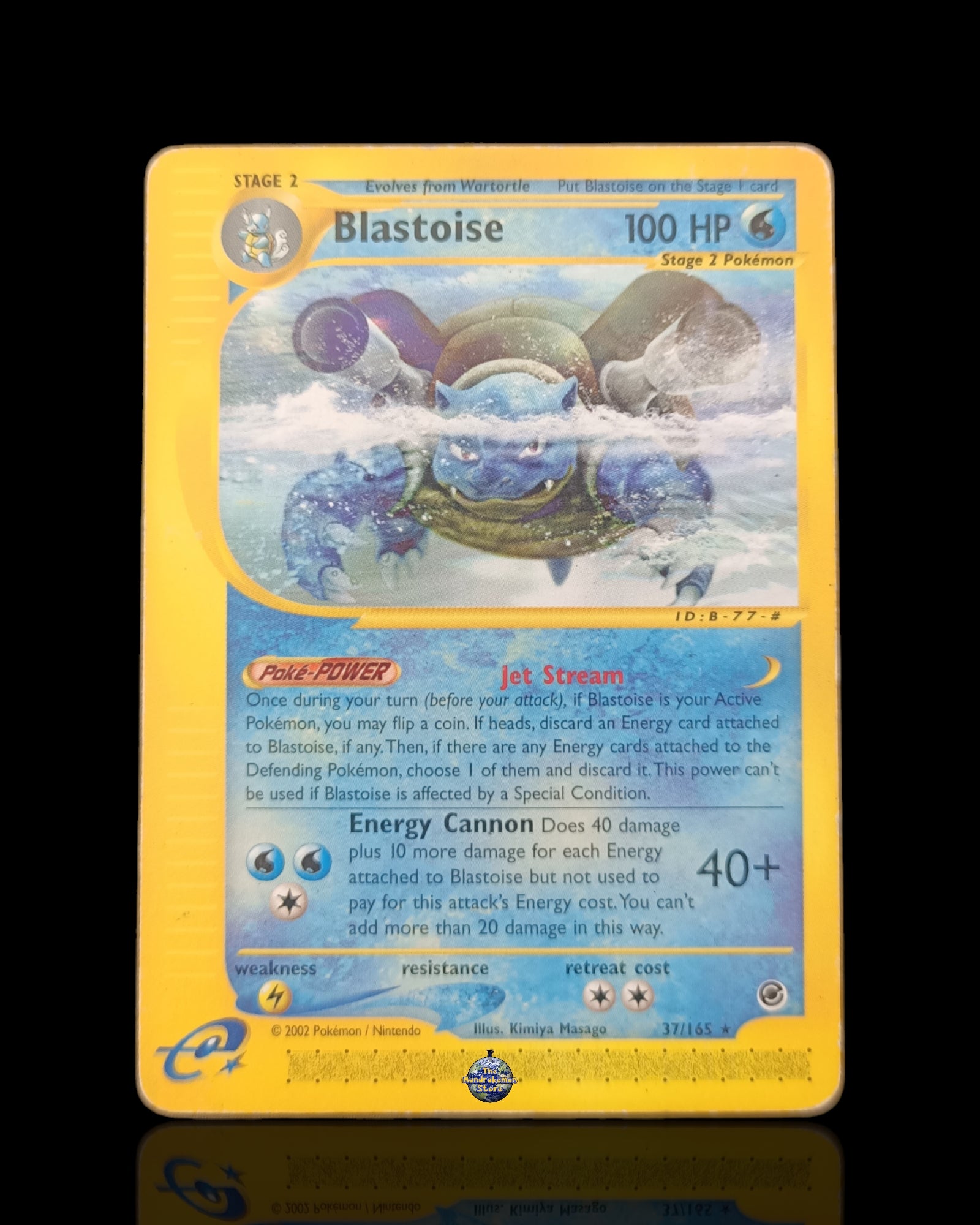 Blastoise Expedition – The Mandrakémon Store S.R.L.S
